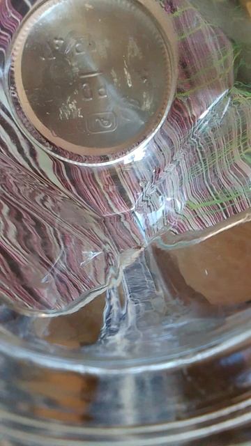 иксодовый клещ ползает