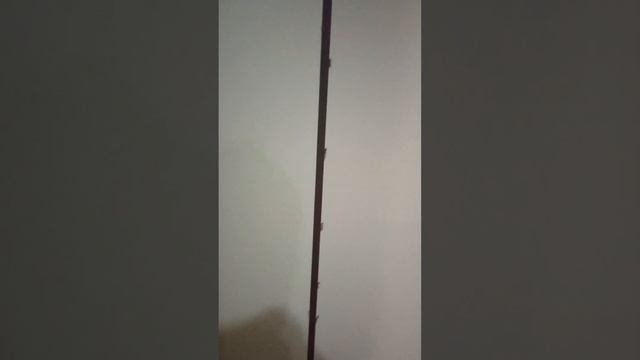 Укрепили шкаф, свозили детей на дачу, проверили деревья