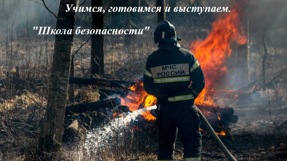 Пожарка ШБ 2025