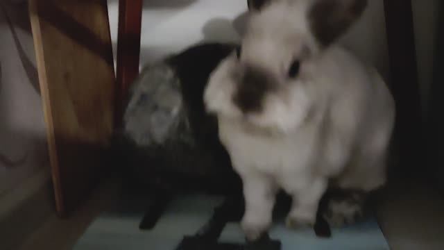 Трамп упал выходя из самолёта