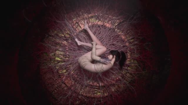 WUCHANG Fallen Feathers — официальный трейлер с SGF