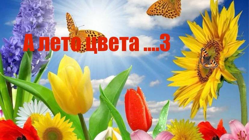 А ЛЕТО ЦВЕТА...3 Отчёт № 1