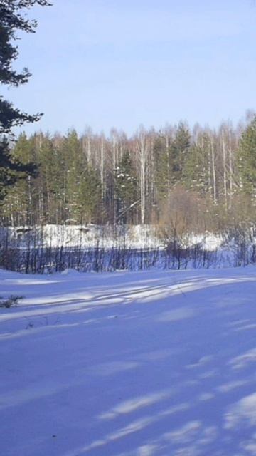 (15) Евангелие от Матфея глава 17 стих 10-13