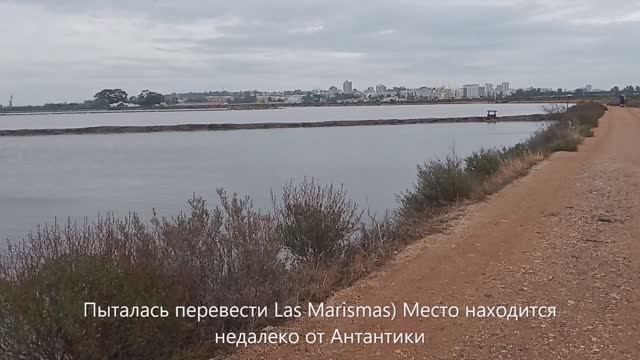 Болота Испании Las Marismas de Huelva