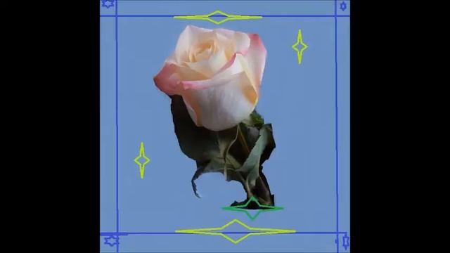 Лучшие поздравления