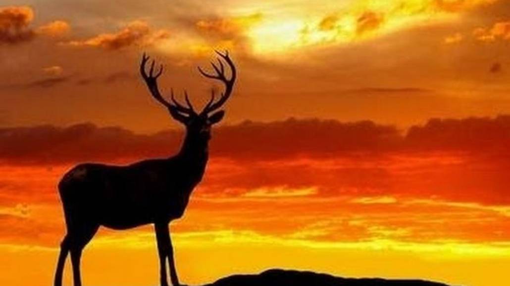 П𝒆𝒑𝒆г𝒆𝟑𝒂г𝒑𝒚𝟑𝒌𝒂