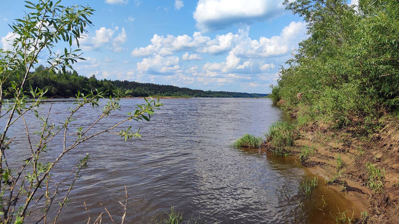 Рыбалка на Вятке. Прикормка сработала. Крупный лещ и другая рыба. Уха на костре и чай со смородиной