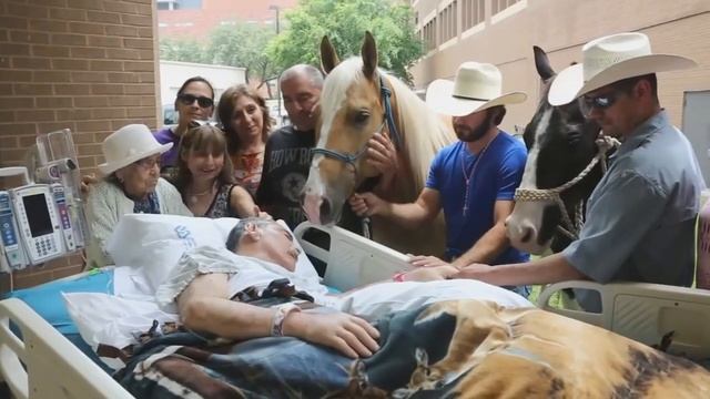 ЛОШАДЬ УВИДЕЛА, ЧТО ЕЕ ХОЗЯИН УПАЛ, И НЕМЕДЛЕННО СДЕЛАЛ