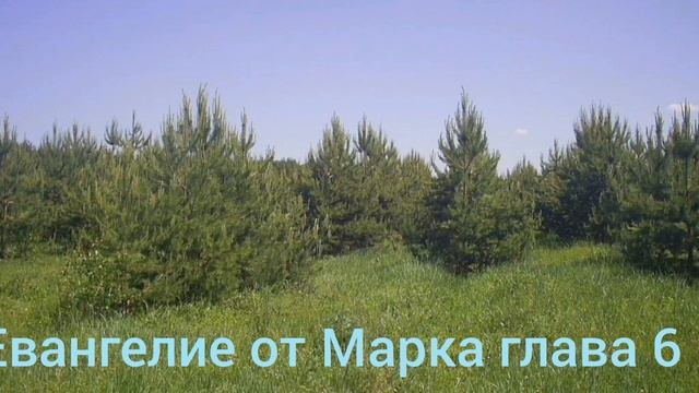 Евангелие от Марка глава 6