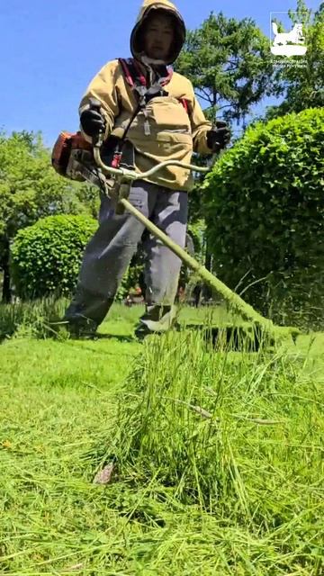 #Готовим_Иркутск к лету - Покос травы. Иркутск