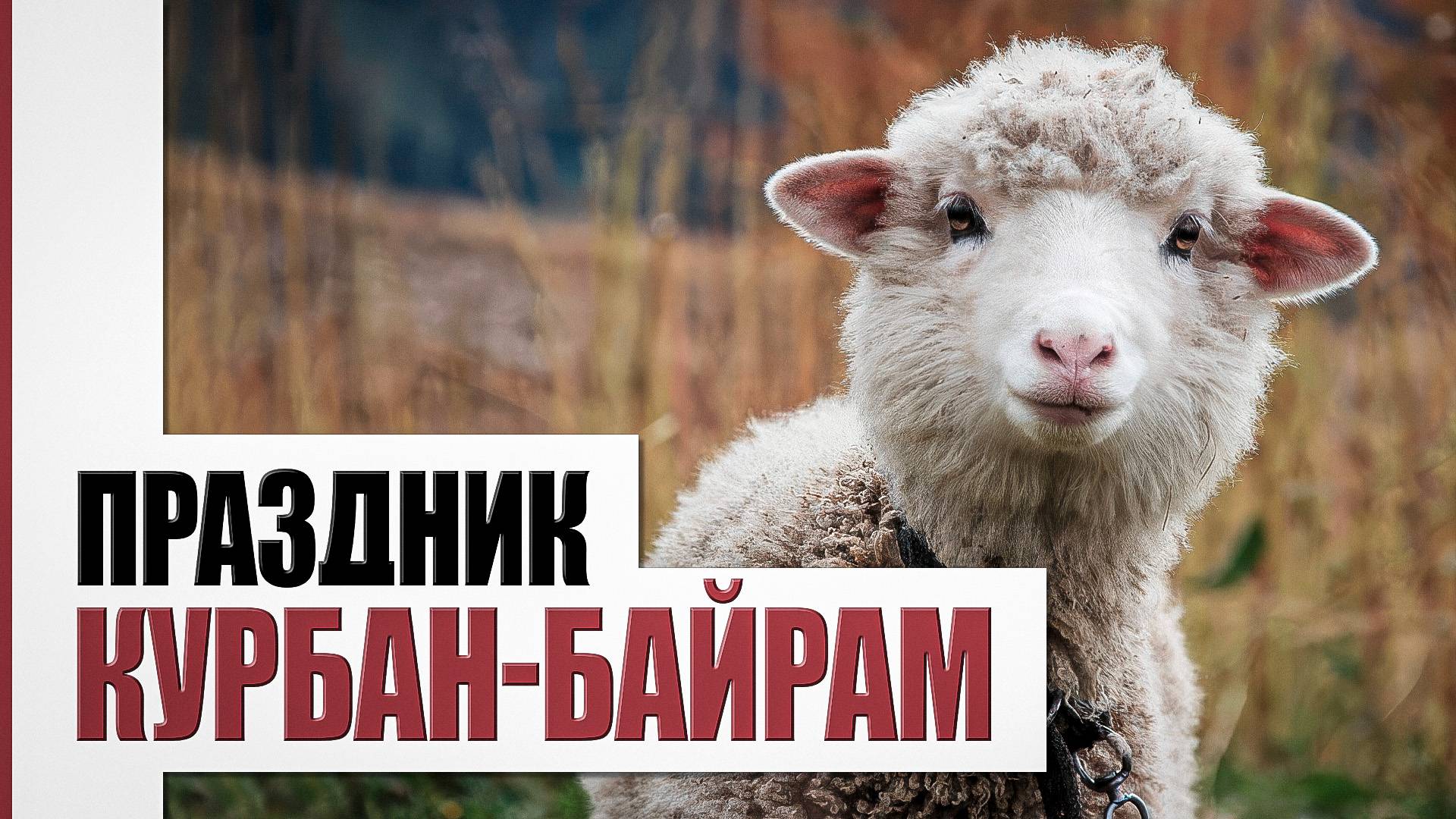 Курбан-Байрам - значение и история праздника