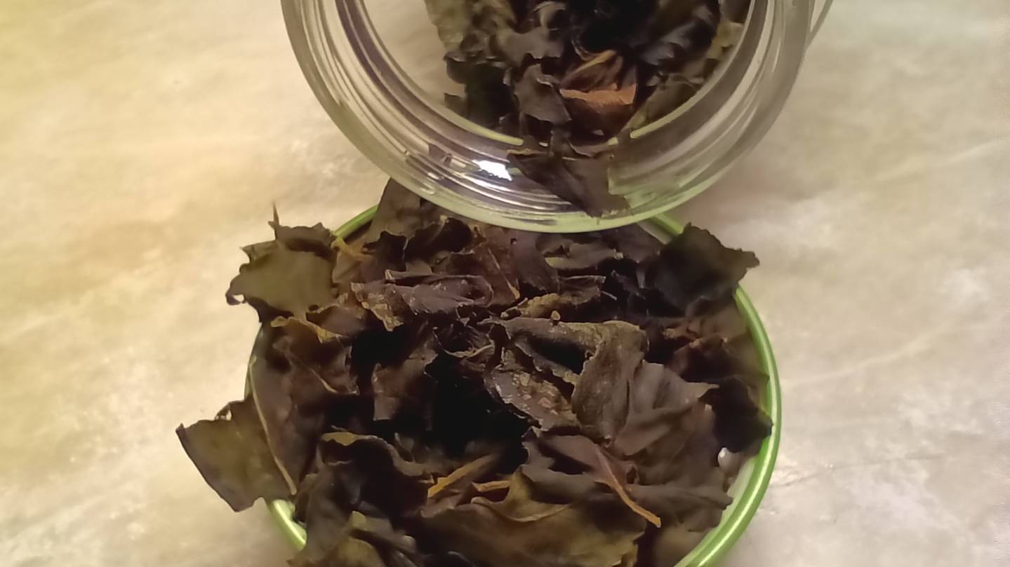 Ферментированный чай из листьев вишни. От сбора до готового результата.