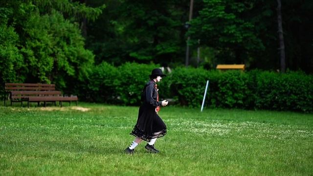 Обзорное видео за 08.06.2025