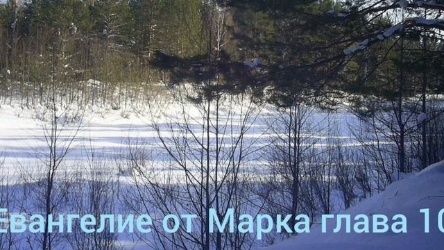 Библия Евангелие от Марка глава 10