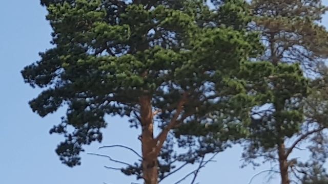 ПРИЯТНАЯ ПРОГУЛКА!