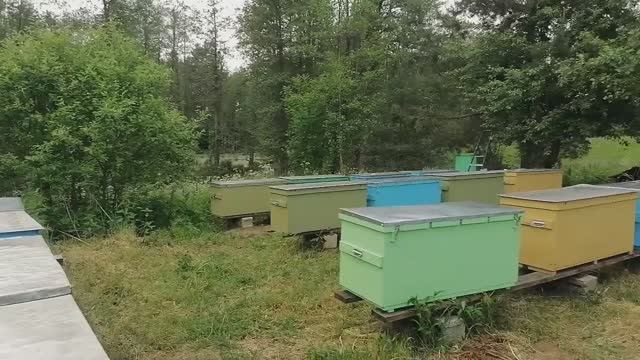 Пасека на сотке. Гружу ульи одной рукой. Разведенческая пасека. Ульи ждут клиента.