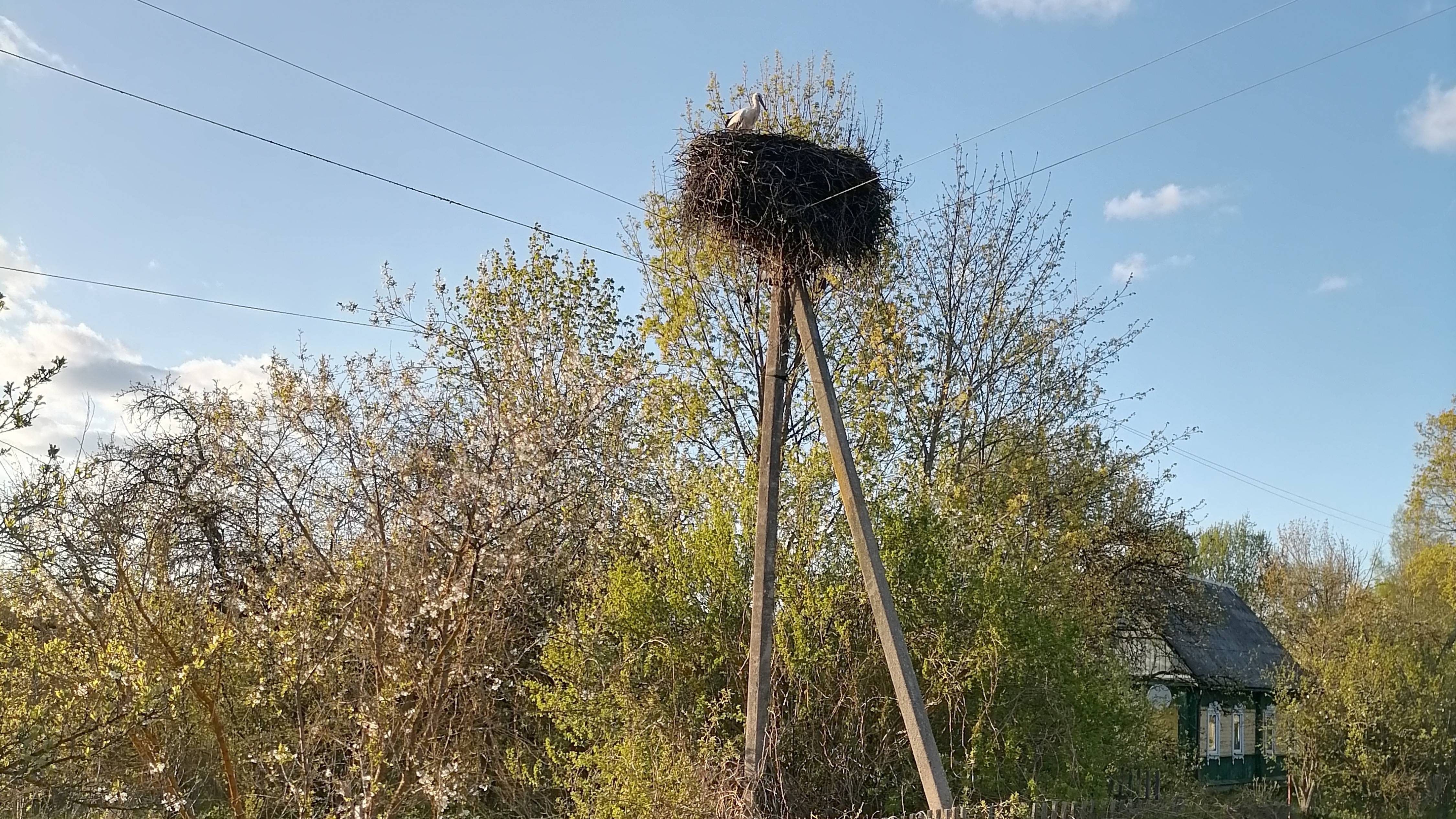 Багратион-2025. Бросок на Минск