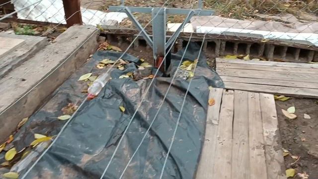 Закрытие виноградного сезона