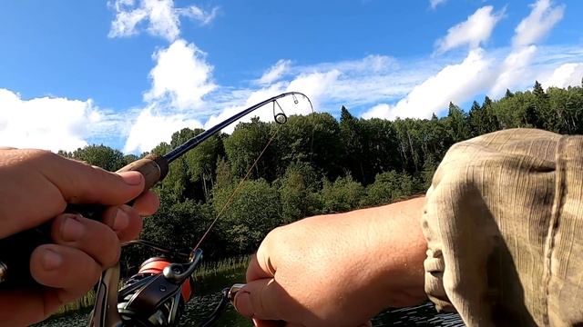 Ловля окуня на сломе погоды. Рыбалка на спиннинг, озеро Ужин