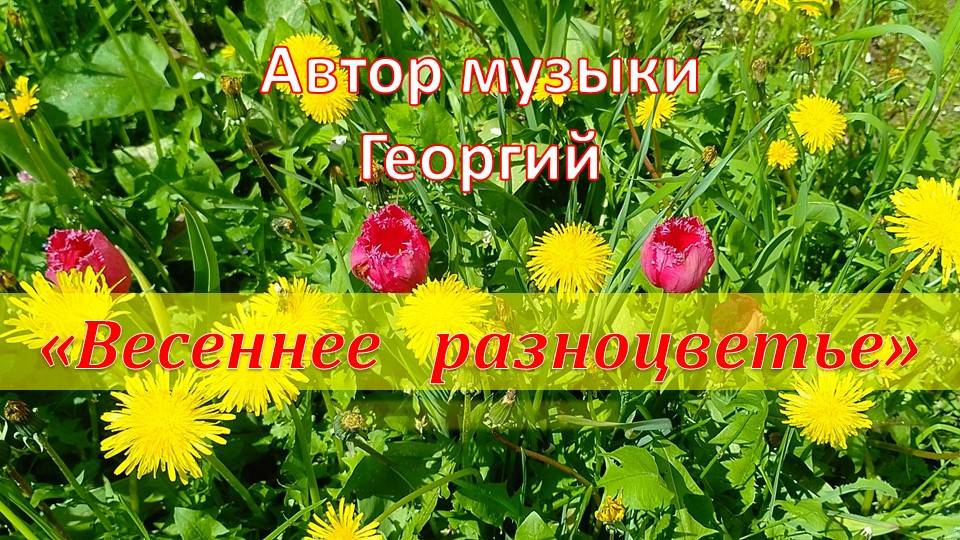 Весеннее разноцветье Автор Георгий