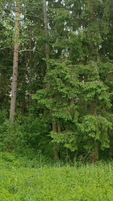 (16) Евангелие от Матфея глава 22 стих 36-46