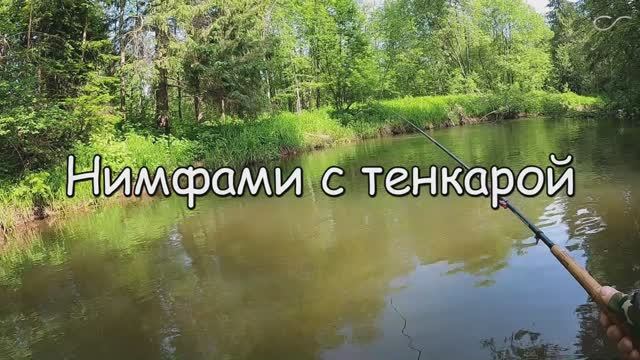Нимфами с тенкарой