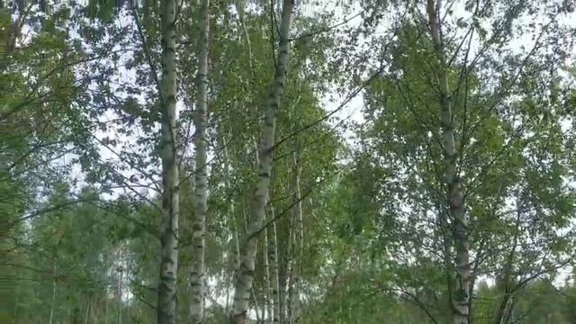 Троица...