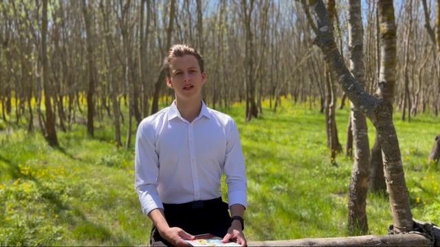 Летняя программа «Код Новатора»: «Как стать писателем за 2 недели»