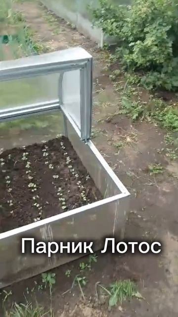 Парник Лотос от компании Воля
