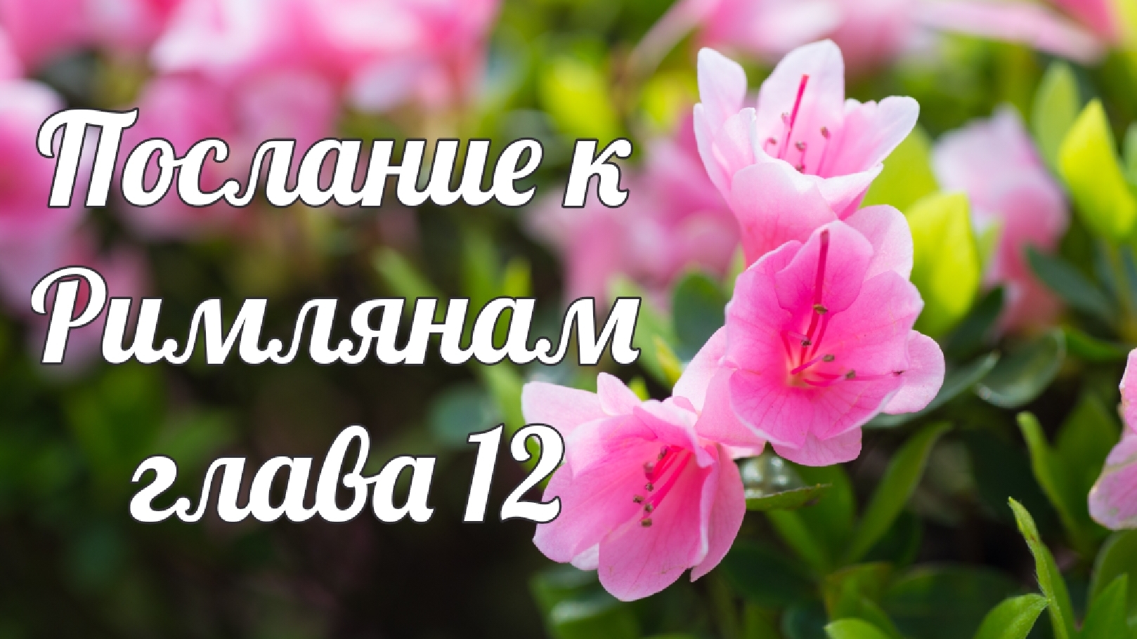 Послание к Римлянам глава 12