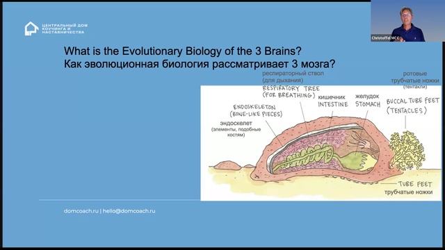 Christoffel Sneijders, MCC ICF, Испания : "Нейробиологические основы реального преобразования"