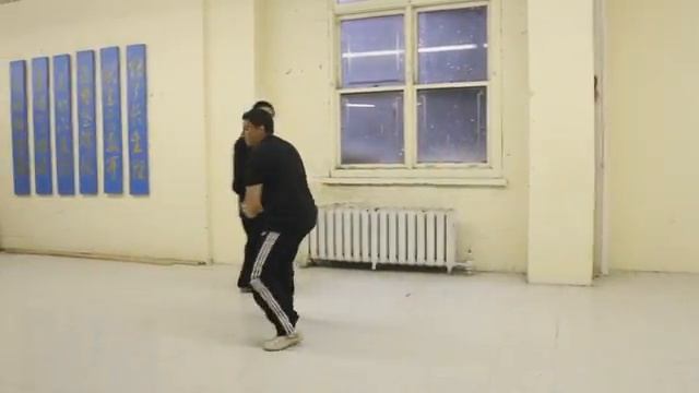 Хай Ян Формы животных и применение