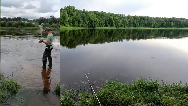 Сом на ДОНКУ в Западной Двине! Трофейный улов и борьба с речным гигантом
