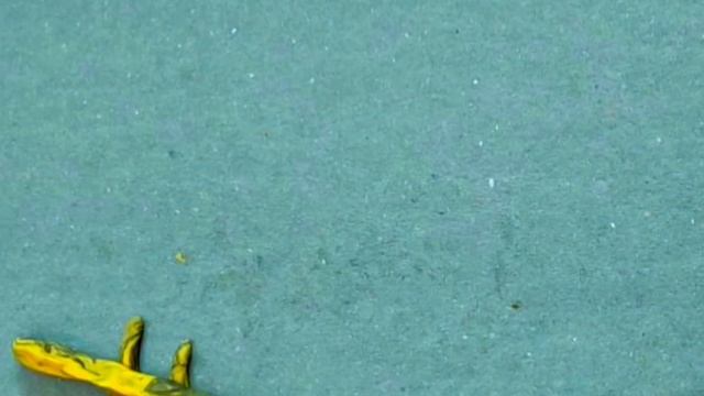 Пресмыкающиеся