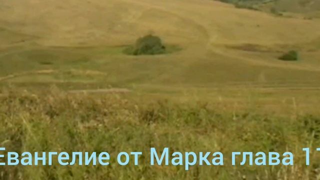 Библия Евангелие от Марка глава 11