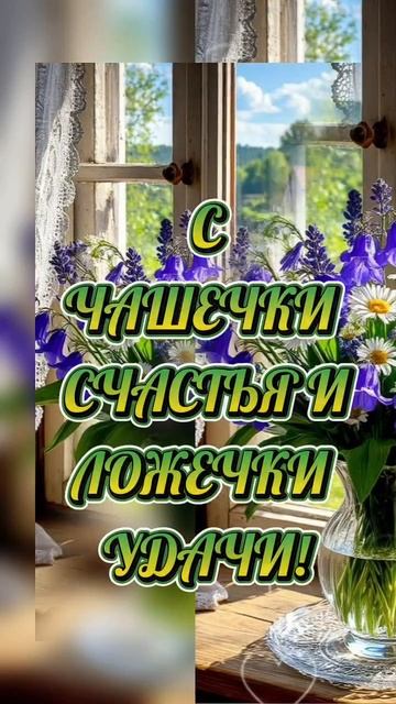 С добрым летним утром!