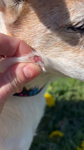 Вот что мы обнаружили у Джека