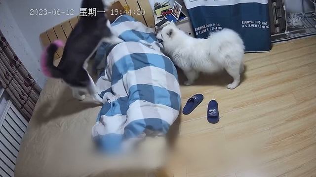 55 НЕВЕРОЯТНЫХ МОМЕНТОВ, СНЯТЫХ НА КАМЕРЫ НАБЛЮДЕНИЯ