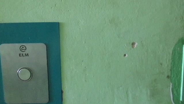 Музыкальный лифт ELM-(Queen) и старый лифт КМЗ @ М.О. г. Жуковский, ул. Нижегородская, д. 33к1 (16)