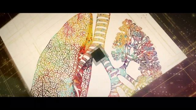 The Perfect One. Сакральная анатомия тела