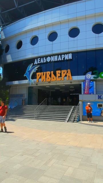 У дельфинария."Ривьера"Сочи.09.06.25.