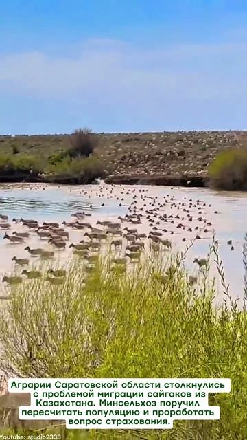 Агроновости 2-8 июня 2025 года