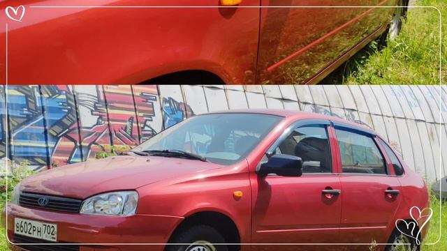Калина красная 🚗