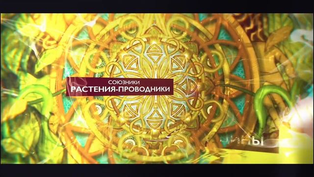 Программа «Реализация своей природы через Многомерный мир»
