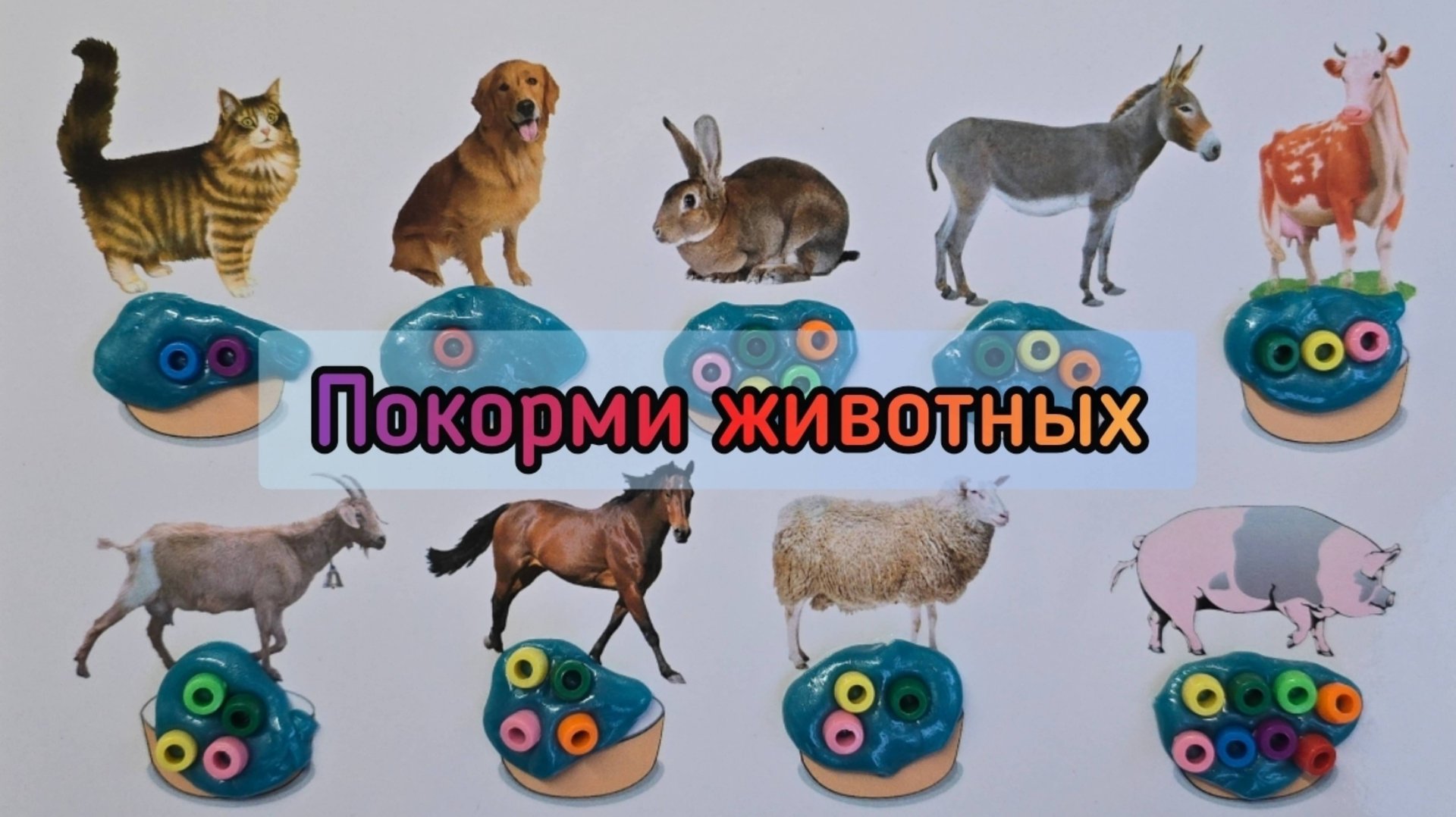 Покорми животных