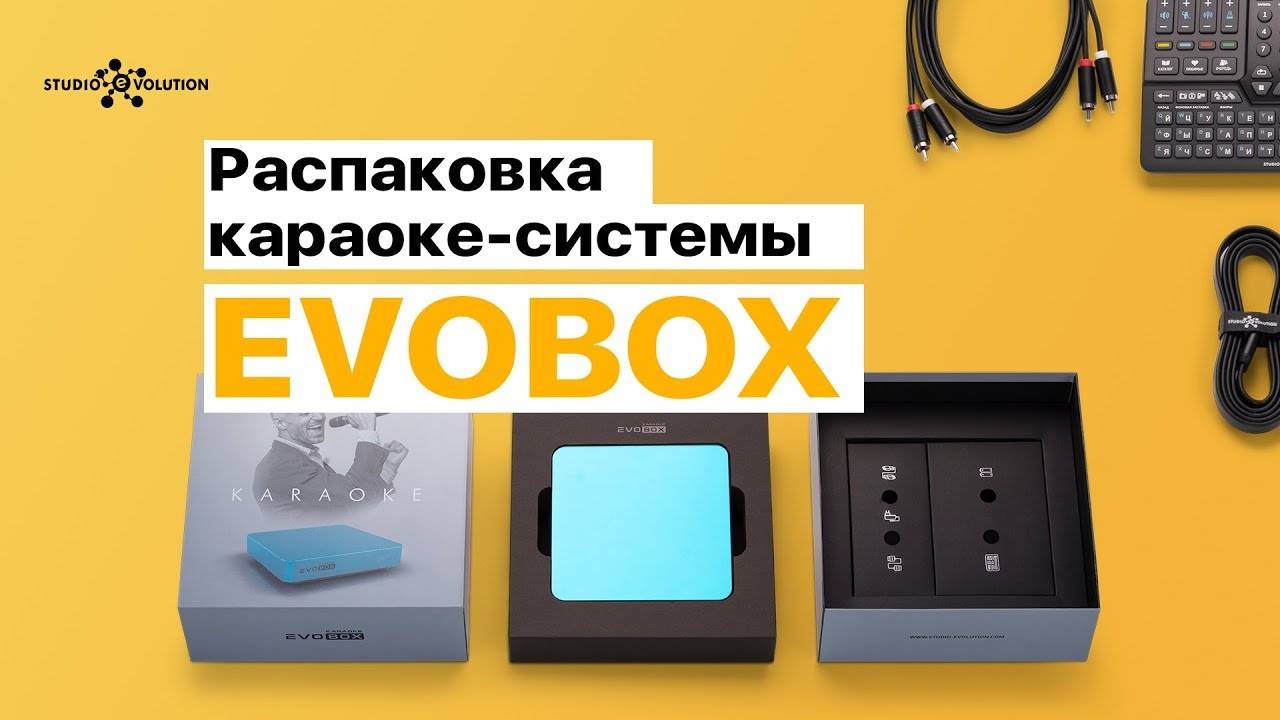Распаковка [EVOBOX]. Караоке-система для дома.