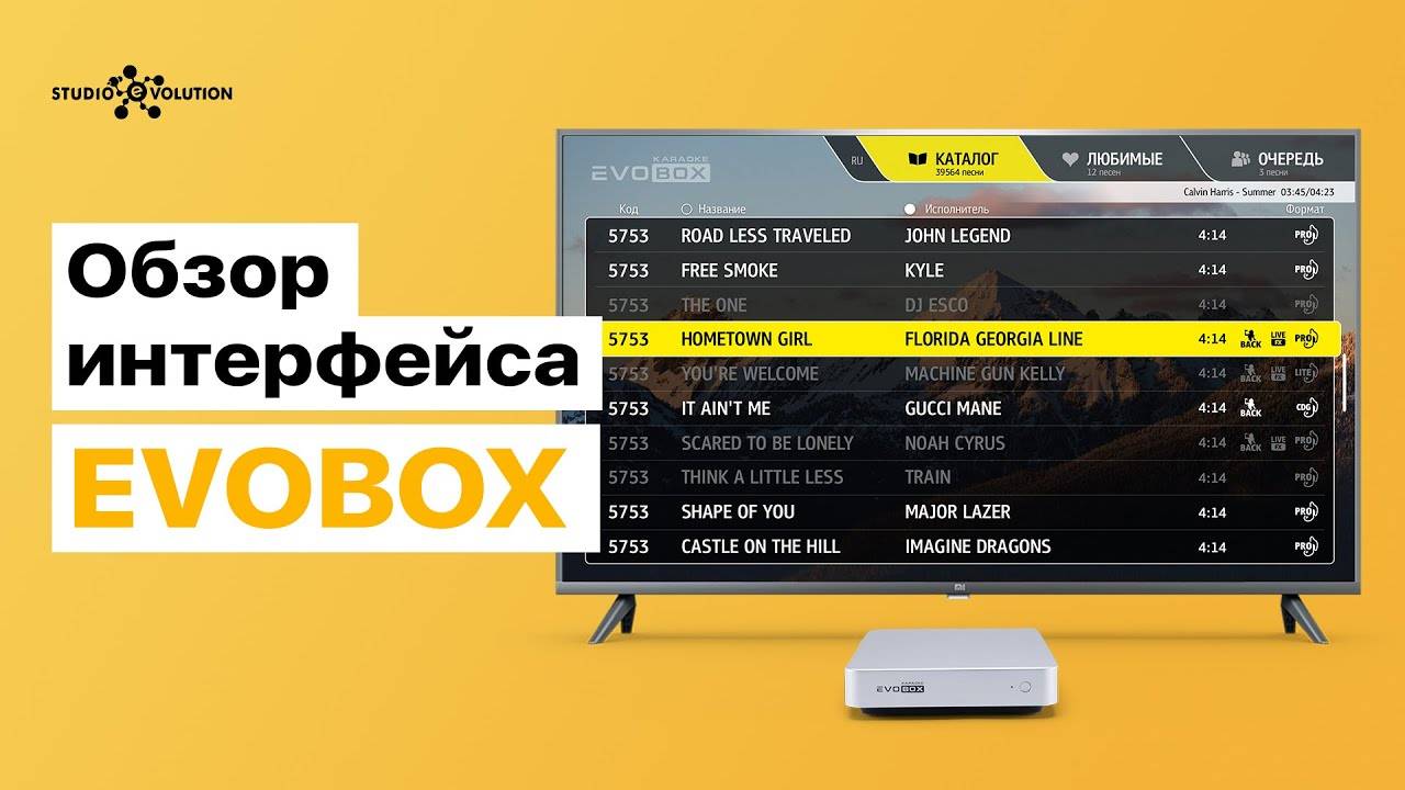 Караоке для дома EVOBOX. Интерфейс караоке-системы.