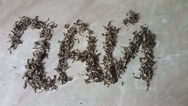 Ферментированный чай из листьев облепихи. Вкус и польза для организма.