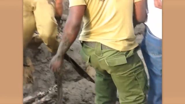 ЭТОТ ОДИНОКИЙ ЛЕВ УМИРАЛ ОТ ГОЛОДА, ПОКА ВДРУГ.......