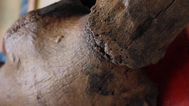 Видеоэкскурсия по Музейному комплексу ГАГУ